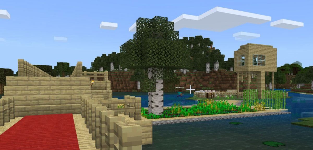 Teambuilding met Minecraft | Peppix